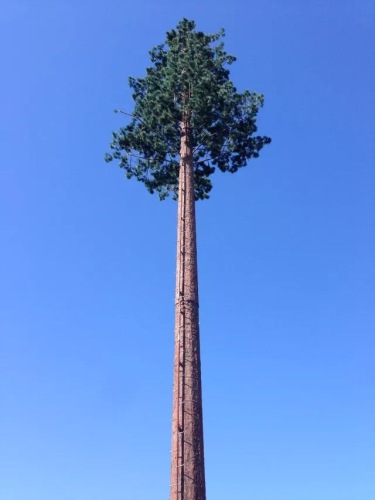 Telecom Pine Tree Tower, High Quality Telecom Pine Tree Tower on ...