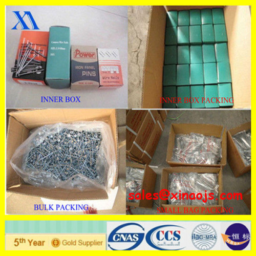 Common Nails With All Sizes/good Qality Common Nails/galvanized Common ...