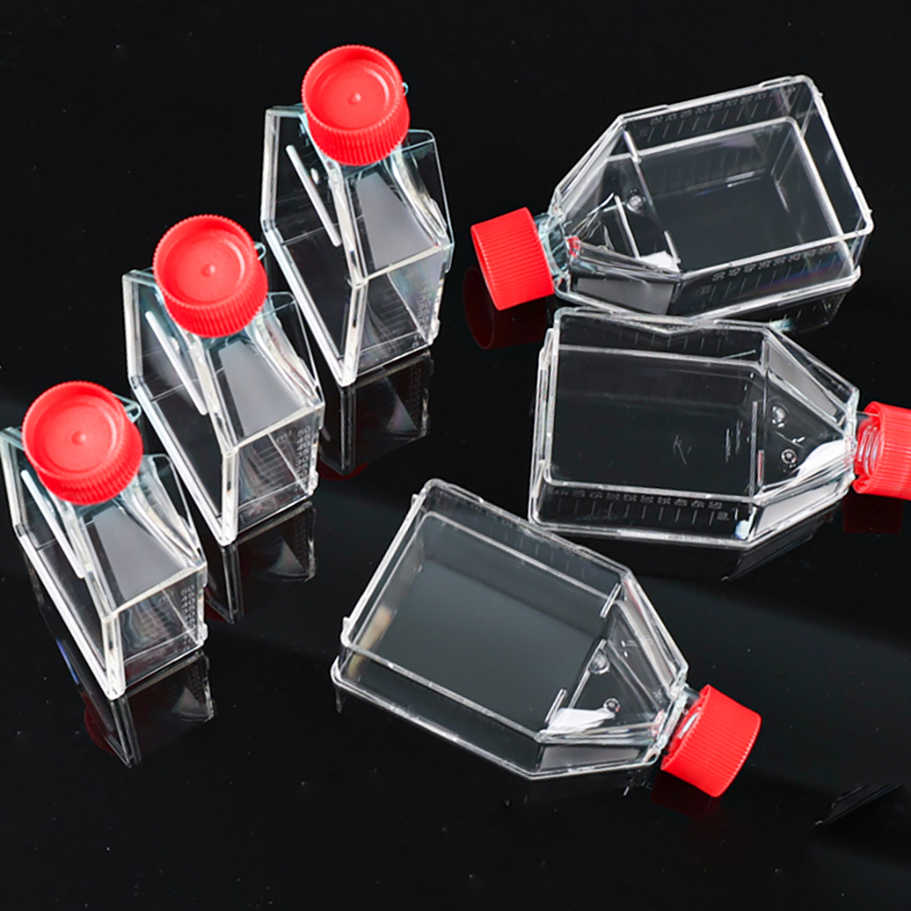 Medical Disposable T25 cell culture flasks China Manufacturers ...