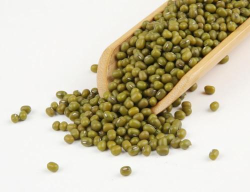 Green Beans, High Quality Green Beans on Bossgoo.com