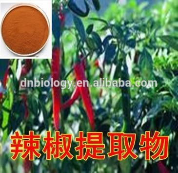 Cayenne Pepper Extract Powder/cayenne Pepper Powder, High Quality ...