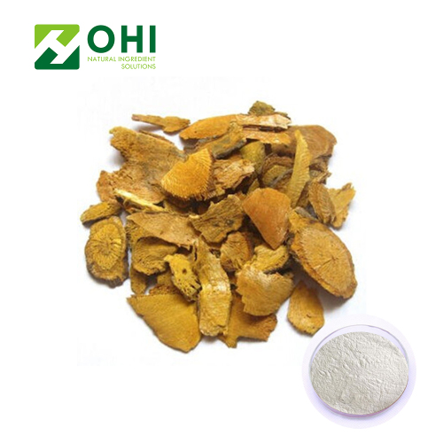 일본 Knotweed 추출물 Resveratrol Polydatin 분말, Bossgoo.com의 고품질 일본 Knotweed ...