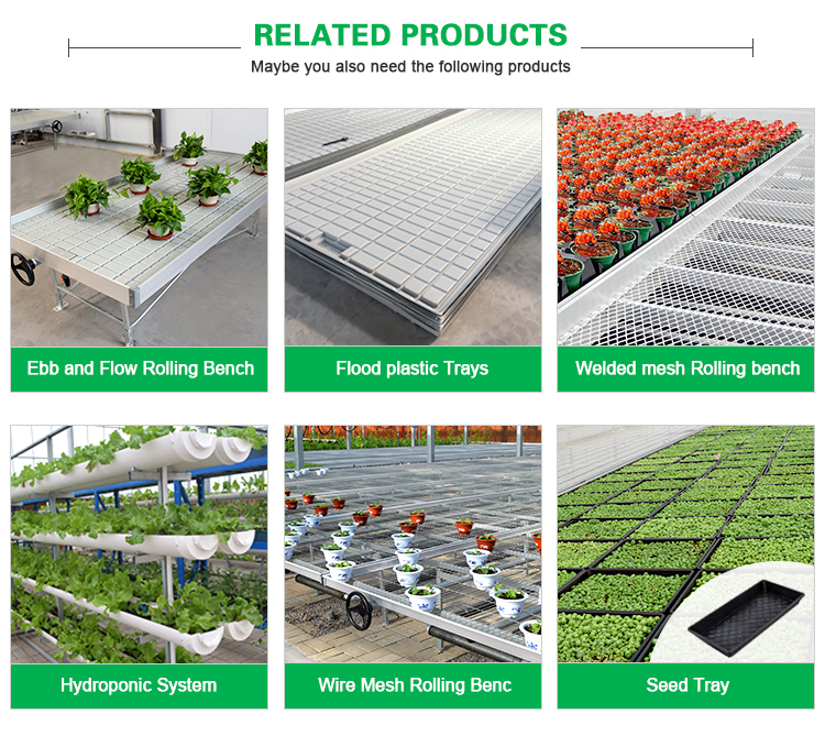 Ebb And Flow Rolling Bench Systems For Agriculture Greenhouse Farming ...