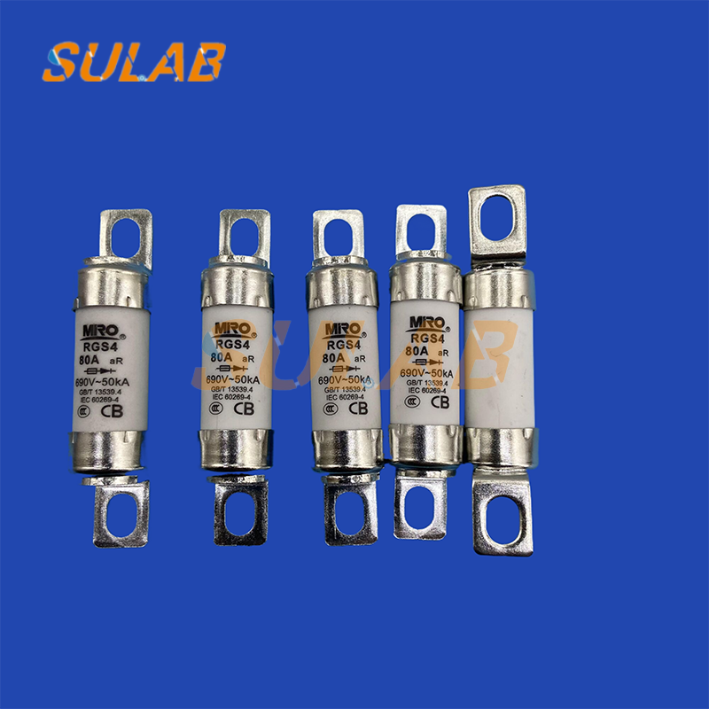 High-voltage Fast Acting Fuse Rgs4 In Various Amperages: 80a, 100a ...
