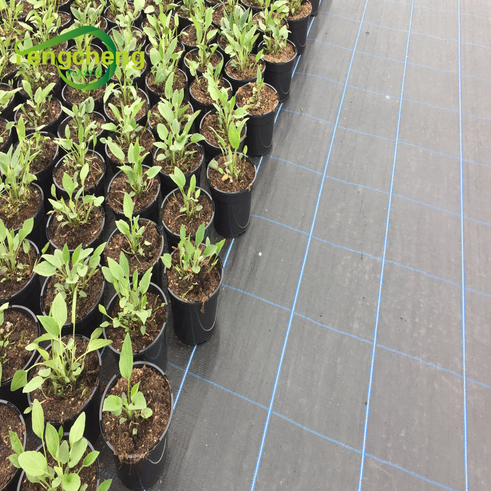 Polypropylene Control Weed Mat Stopper คุณภาพสูง Polypropylene Control ...