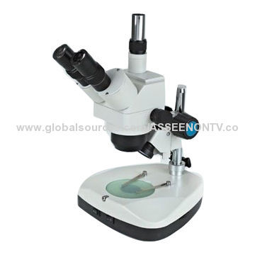 Binocular Dissecting Microscopes With Ccd Interface, High Quality ...
