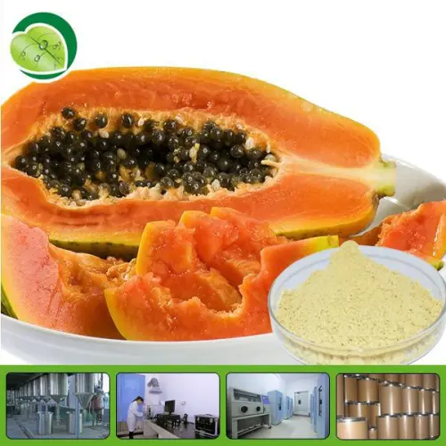 Papaya Papain Papain Enzyme Powder, High Quality Papaya Papain Papain ...