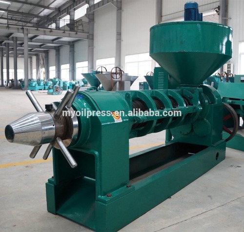 Seed Oil Palm Kernel Castor Oil Extraction Machine Factory Price, High ...