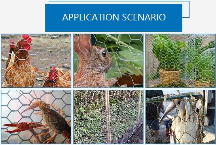 Hexagonal Wire Mesh Fencing: Options For Chicken, Sheep, And Cattle ...