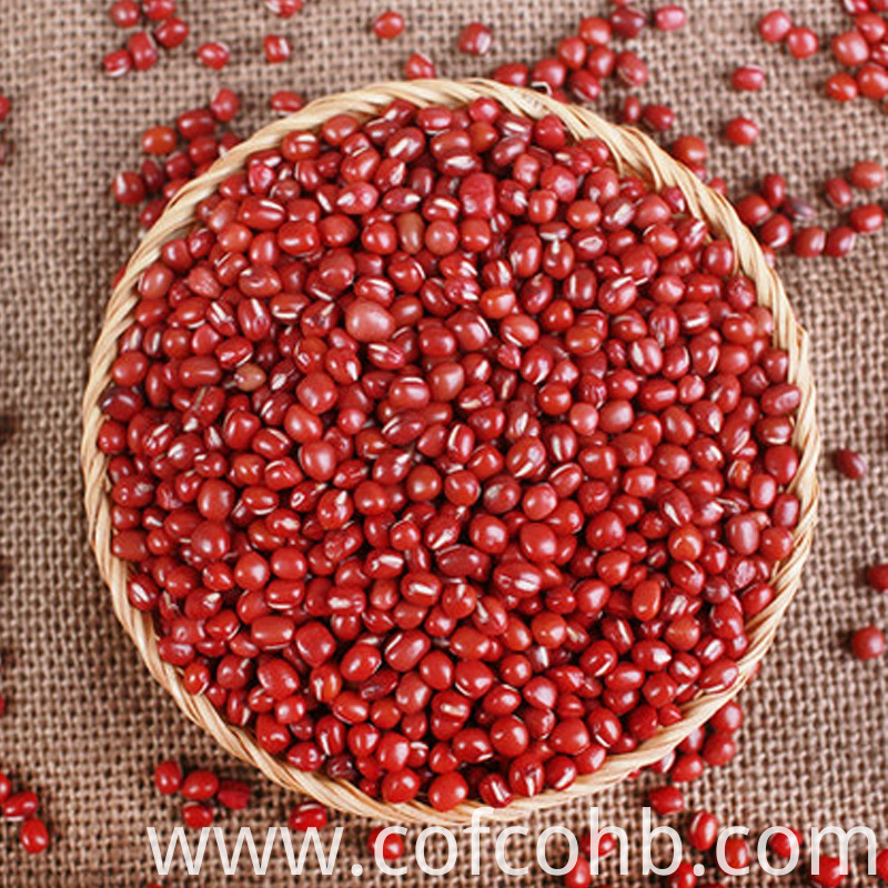 Small Red Beans Dry China Manufacturer