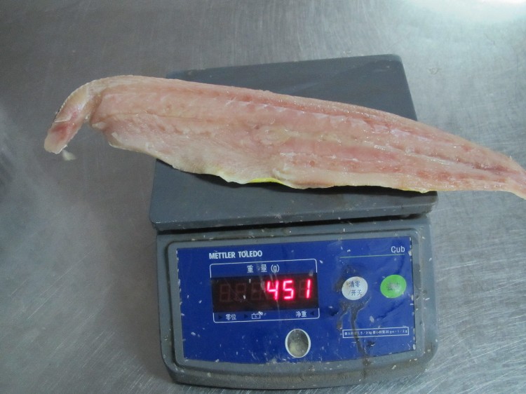 Frozen Mahi Mahi Fillet, High Quality Frozen Mahi Mahi Fillet on ...