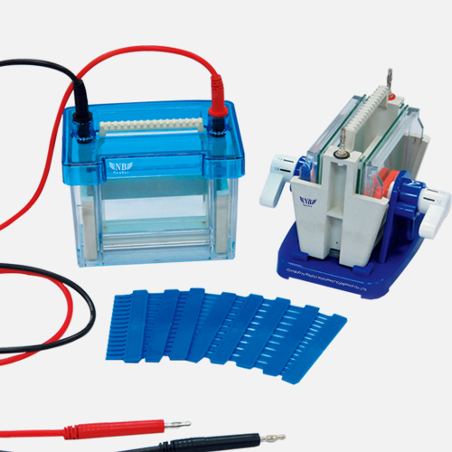 Mini Modular Lab Gel Electrophoresis System, High Quality Mini Modular ...