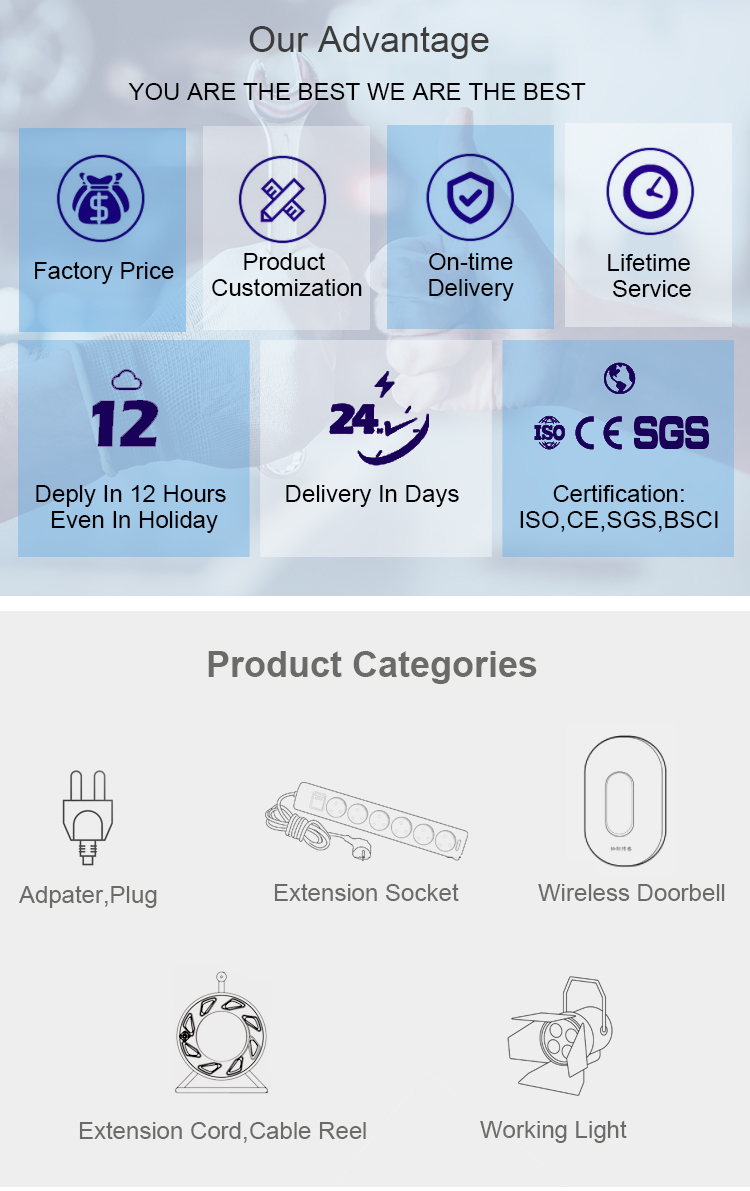 220v Holland Power Plug Adapter With Switch And Socket Board, High ...