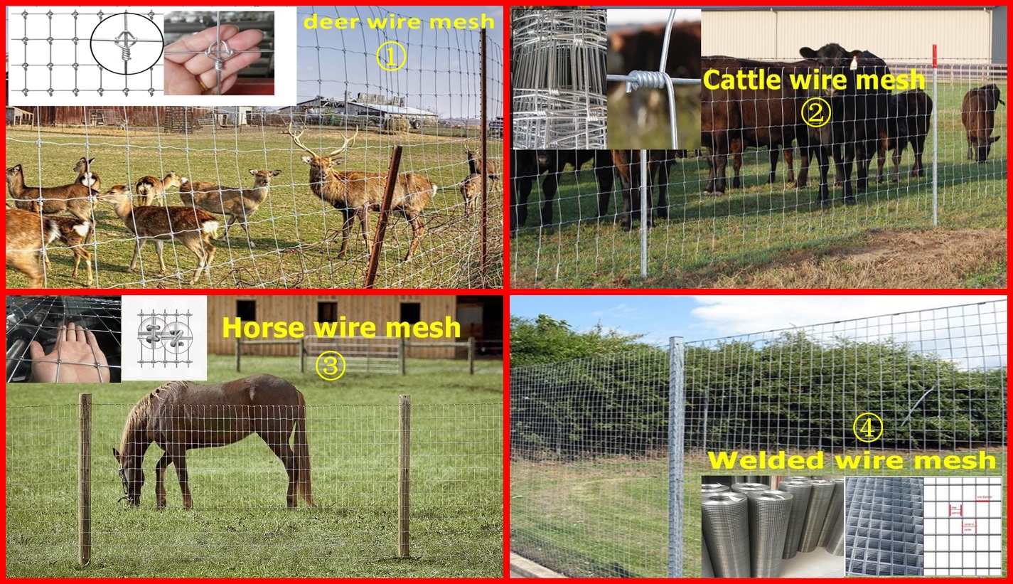 Galvanized Cattle Mesh Fence / Deer Wire Mesh, High Quality Galvanized ...