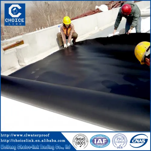 Eva Building Waterproofing Membrane, High Quality Eva Building Waterproofing Membrane on Bossgoo.com