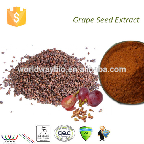 Anti-cancer Kosher Fda Haccp Cgmp Manufacturer Provided Grape Seed ...