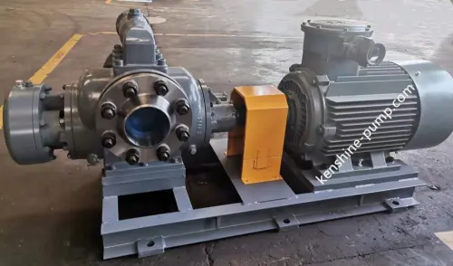 Hw Double Entry Twin Screw Pump, High Quality Hw Double Entry Twin ...