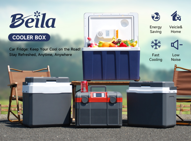 8 Liter Plastic Cosmetic Cool And Warm Box Ac/dc, High Quality 8 Liter ...