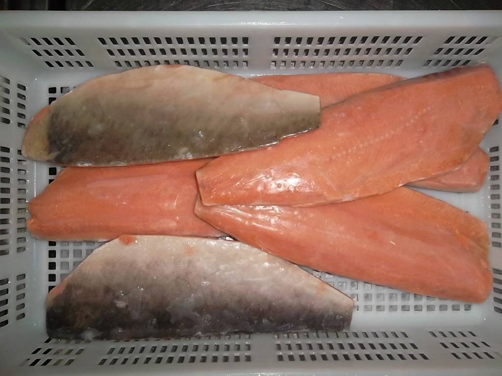 Wholesale Fresh Norwegian Salmon Fish From Export Quality, High Quality ...
