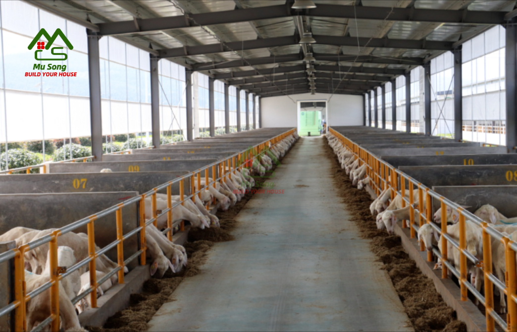 Modern Steel Structure Carport And Goat/sheep Hutch With Sandwich Panel ...