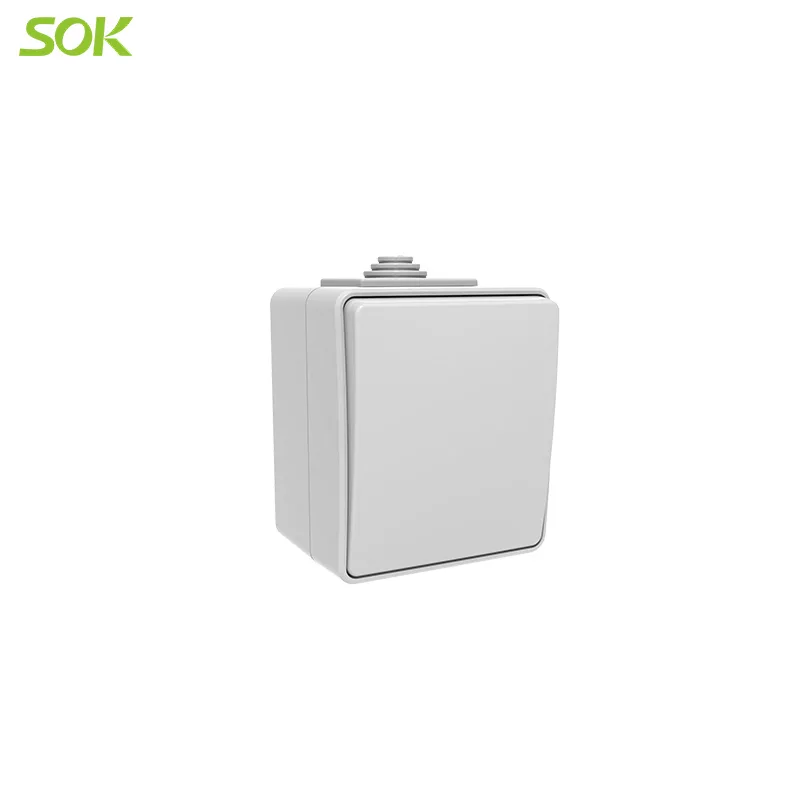 Surface Mounted 2 Gang Wall Switch Waterproof, High Quality Surface ...