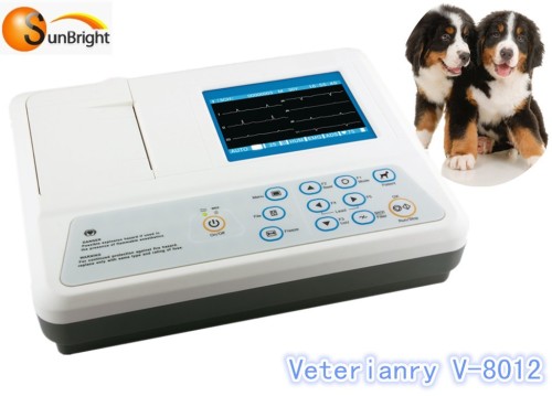 Vet Ecg/ekg, High Quality Vet Ecg/ekg on Bossgoo.com