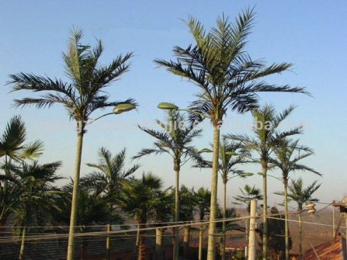 Sjh081904 Outdoor Lighted Palm Tree Electric Palm Tree Led Coconut ...