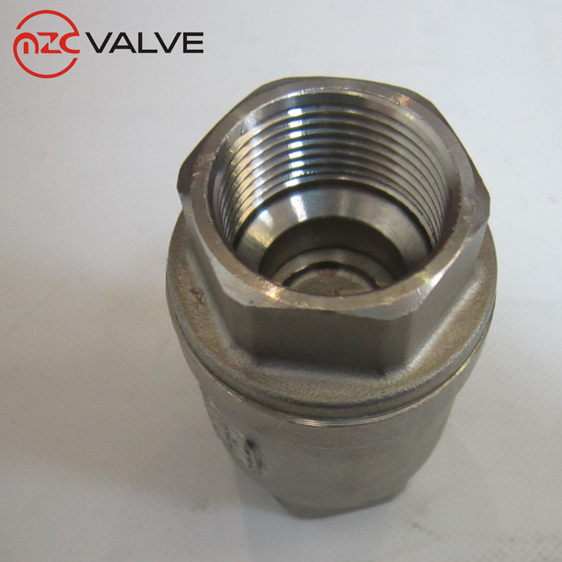 Vertical Spring Loaded Check Valve Female Threads 200psi 304 Stainless ...