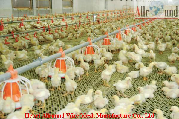 Automatic Poultry Farming Equipment , High Quality Automatic Poultry ...