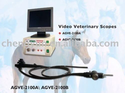 Veterinary Flexible Endoscopes, High Quality Veterinary Flexible ...