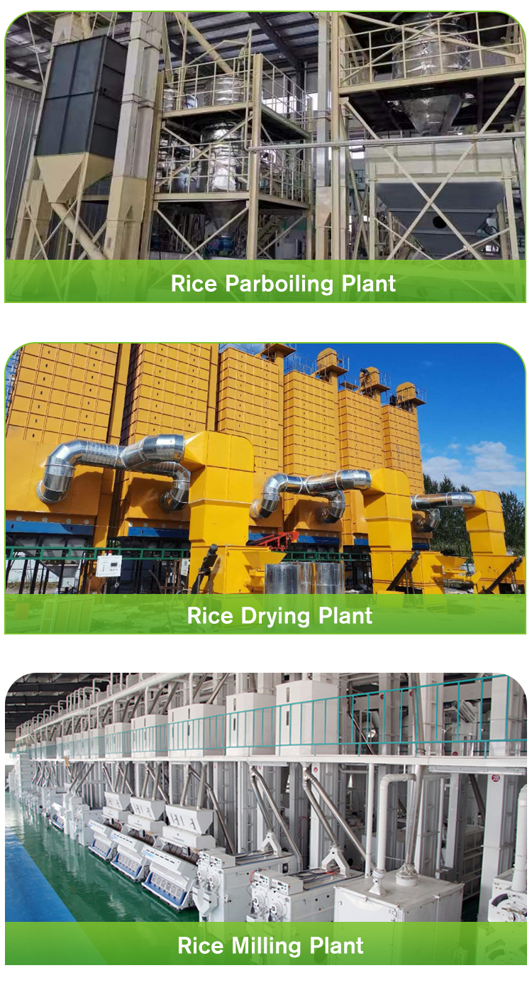 Price And Details Of Suri Rice Mill Machinery, Paddy Dryer, And ...