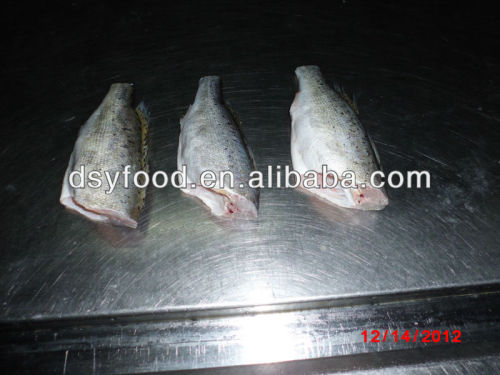 Frozen Seabass/chilean Seabass Fish Fillet, High Quality Frozen Seabass ...