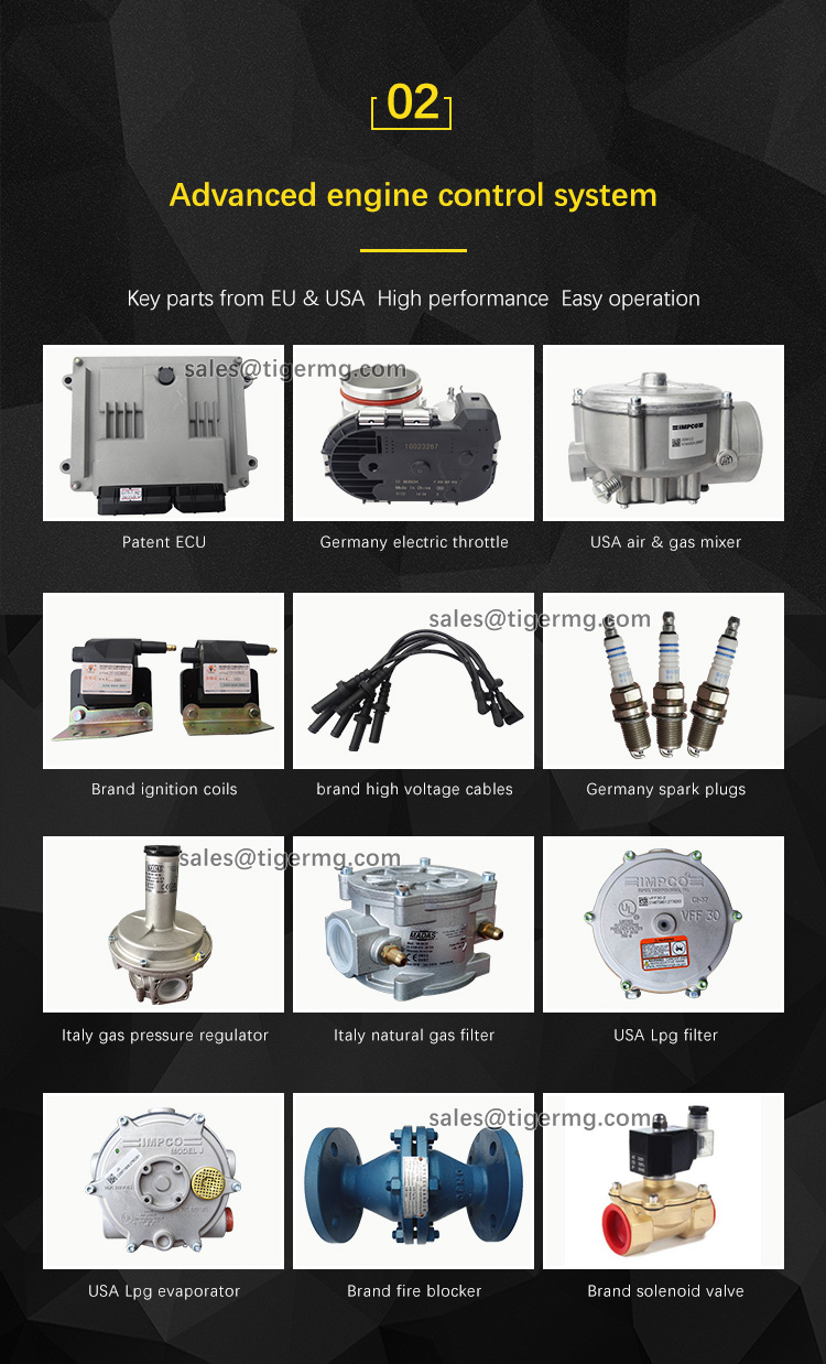 Small Biogas To Electricity Generators For Farm Use - 10kw To 100kw ...