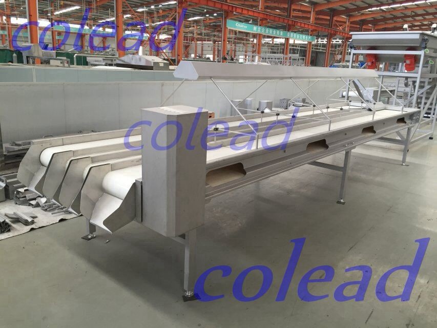 Sus304 Tarikh Sorting Table Belt Conveyor, berkualiti tinggi Sus304 ...