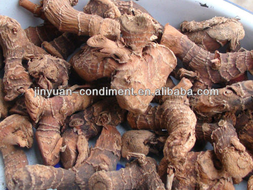 Natural Dried Galangal Roots, High Quality Natural Dried Galangal Roots ...