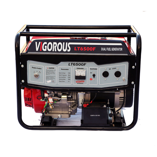 6kw Dual Fuel Generator, Bossgoo.com의 고품질 6kw Dual Fuel Generator