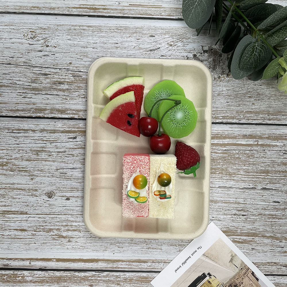 Eco Friendly Compostable Unbleached Bagasse Food/meal Tray, High ...