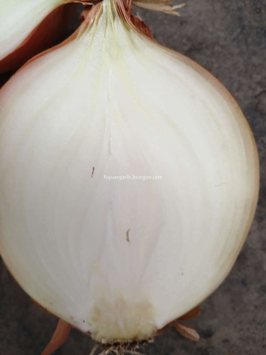 Bawang Kuning Segar Untuk Pasar Indonesia, kualitas tinggi Bawang ...