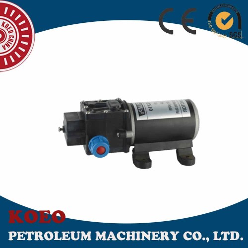 12 Volt Miniature Water Diaphragm Methanol Pump, High Quality 12 Volt ...