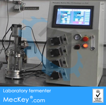 Benchtop Bioreactor Fermenter, High Quality Benchtop Bioreactor ...