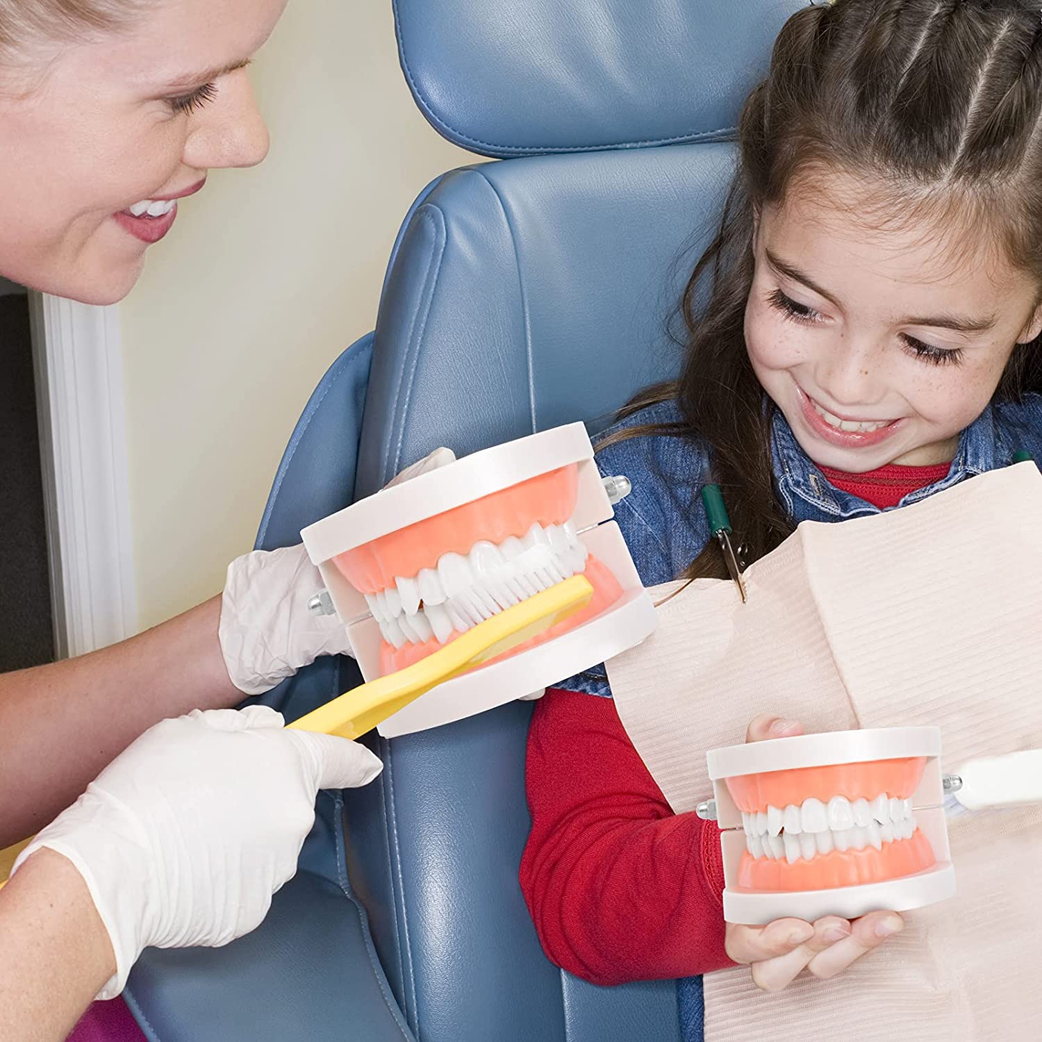 28 Pcs Preschool Education Teeth Model - Pvc Material Dental Kit, High ...