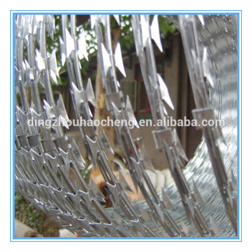 450mm Coil Diameter Concertina Galvanized Razor Iron Barbed Wire, High ...