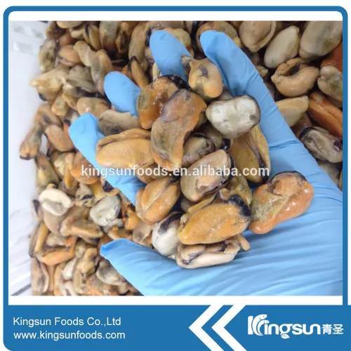 New Arrival Frozen Mussel Meat, High Quality New Arrival Frozen Mussel ...
