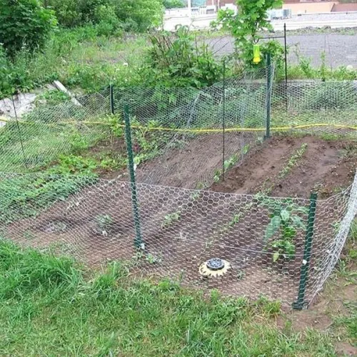 Rabbit Proof Fencing Around Vegetable Patch, High Quality Rabbit Proof ...