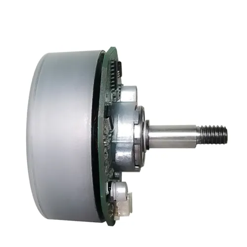 Motor Bldc 24v | 50w Motor Dc Tanpa Sikat | Produsen Motor Bldc ...