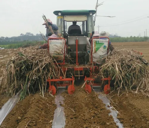 Sugarcane Plantation Equipment Farm Tools And Equipment, High Quality ...