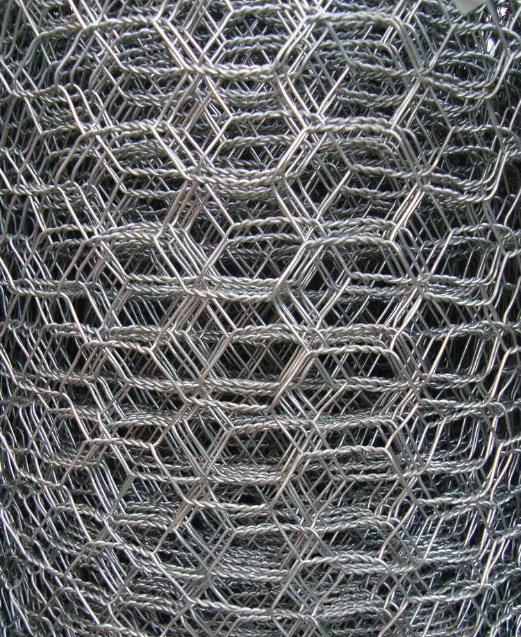 Electro Galvanized Hexagonal Wire Netting, High Quality Electro ...