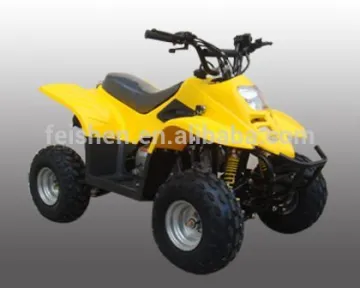 50cc Atv, 50cc Quad Bike, 70cc Atv, 90cc Atv, 110cc Atv (mc-307), High ...