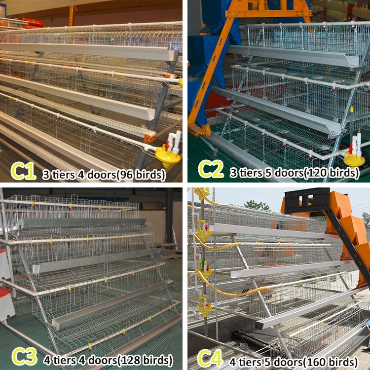 120 Chicken Automatic Poultry Layer Cages System, High Quality 120 ...