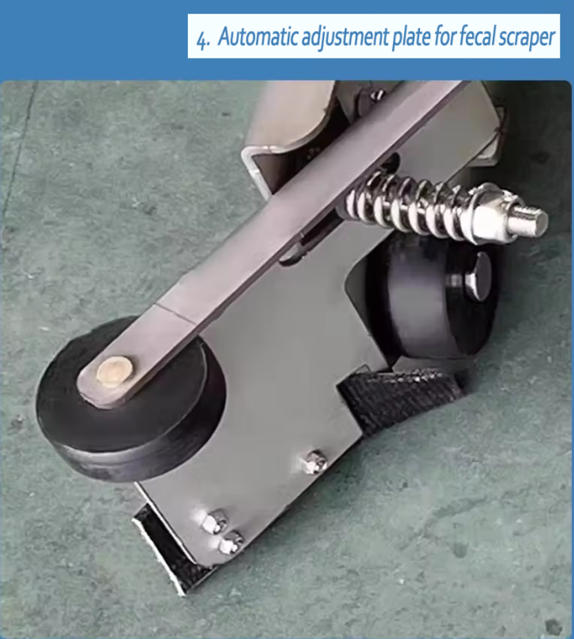 Sheep Manure Scraper: Efficient Manure Removal System For Farms, High ...